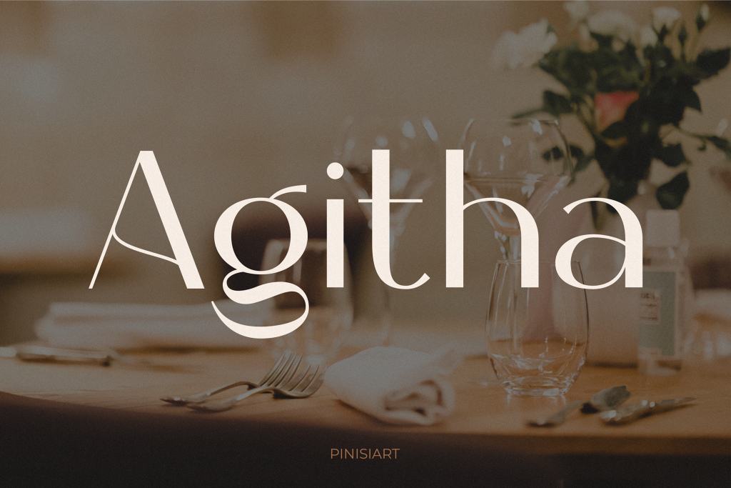 Agitha - Just The Skills